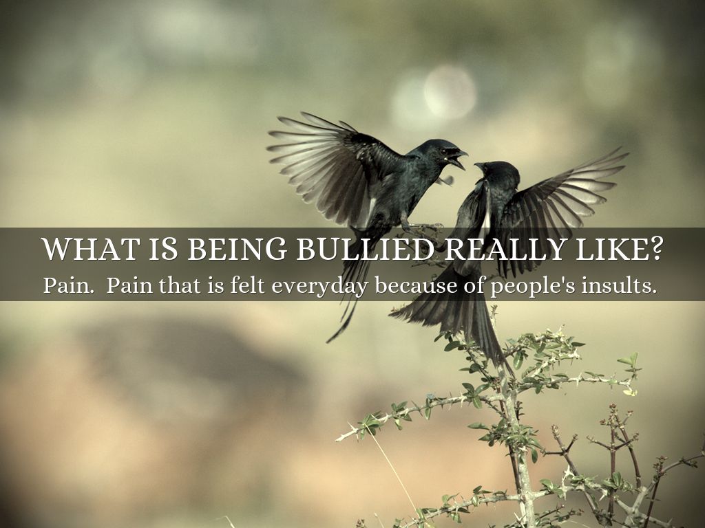 The Truth about bullying by martinezka3