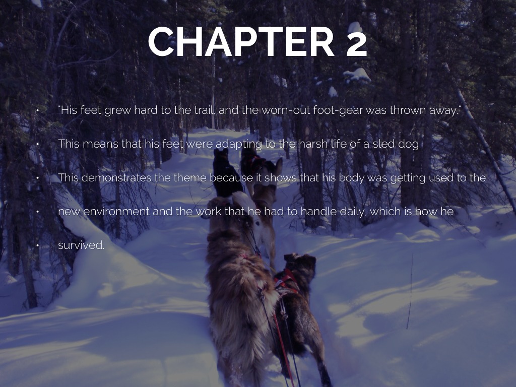 Theme by Hunter Blankenship