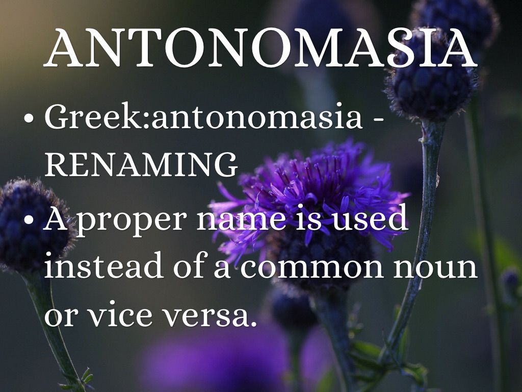 Title by Marina Negruts