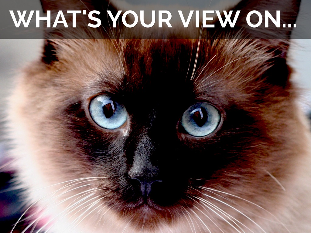 Unit 1 Lesson 2: Perspective, Emic/Etic by Lindsay