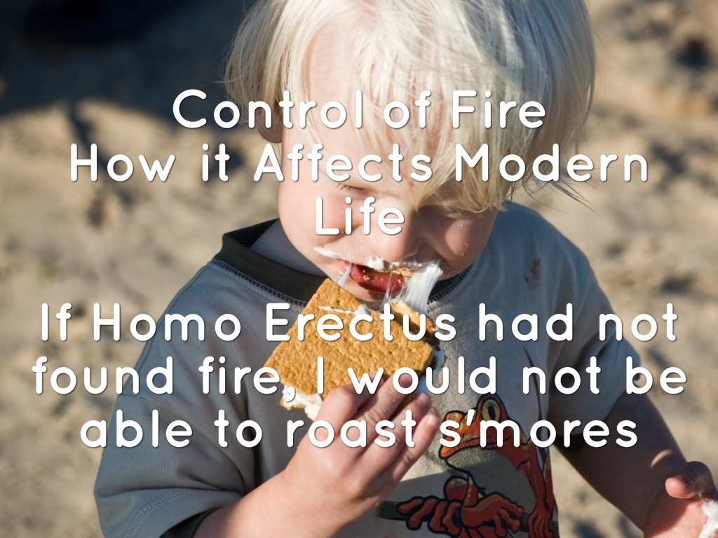 Social Studies by Bennett Rogers