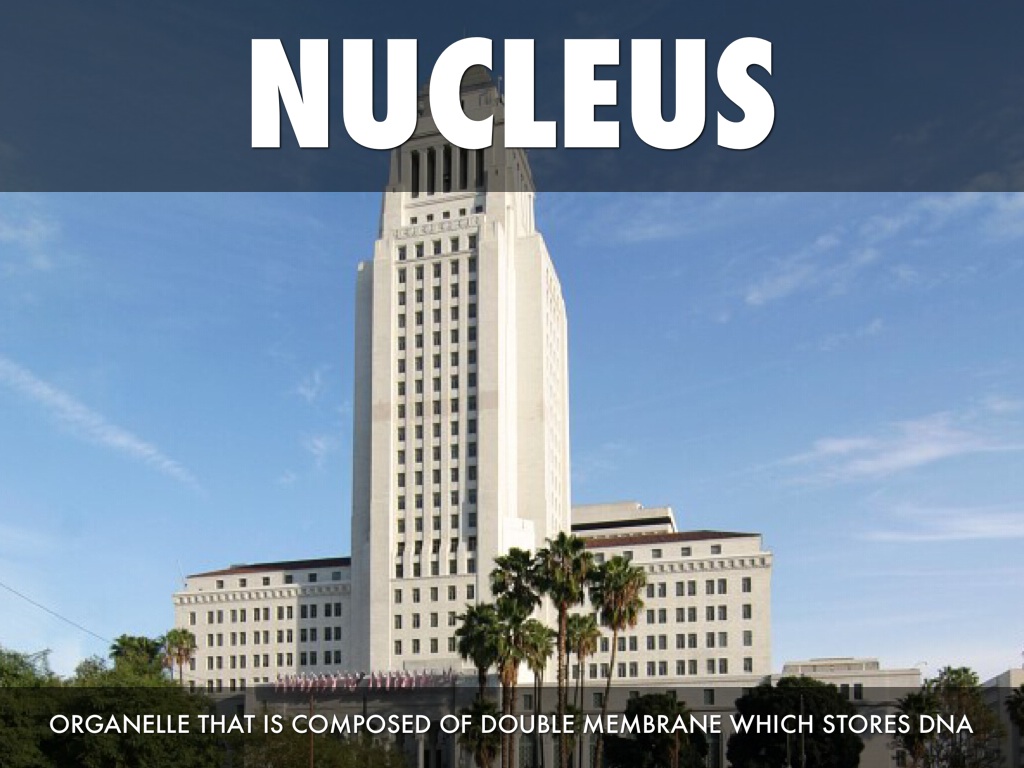 The Cell as a City by Malone Urfalian