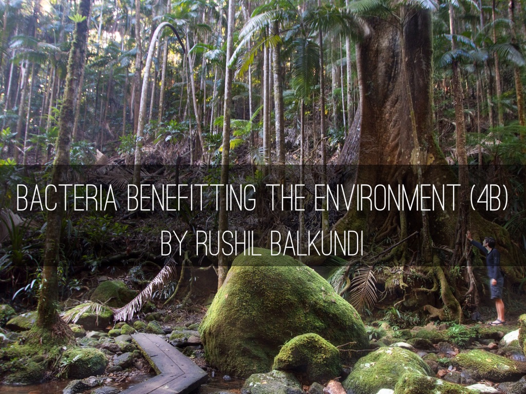 Bacteria Benefitting the Environment by Rushil