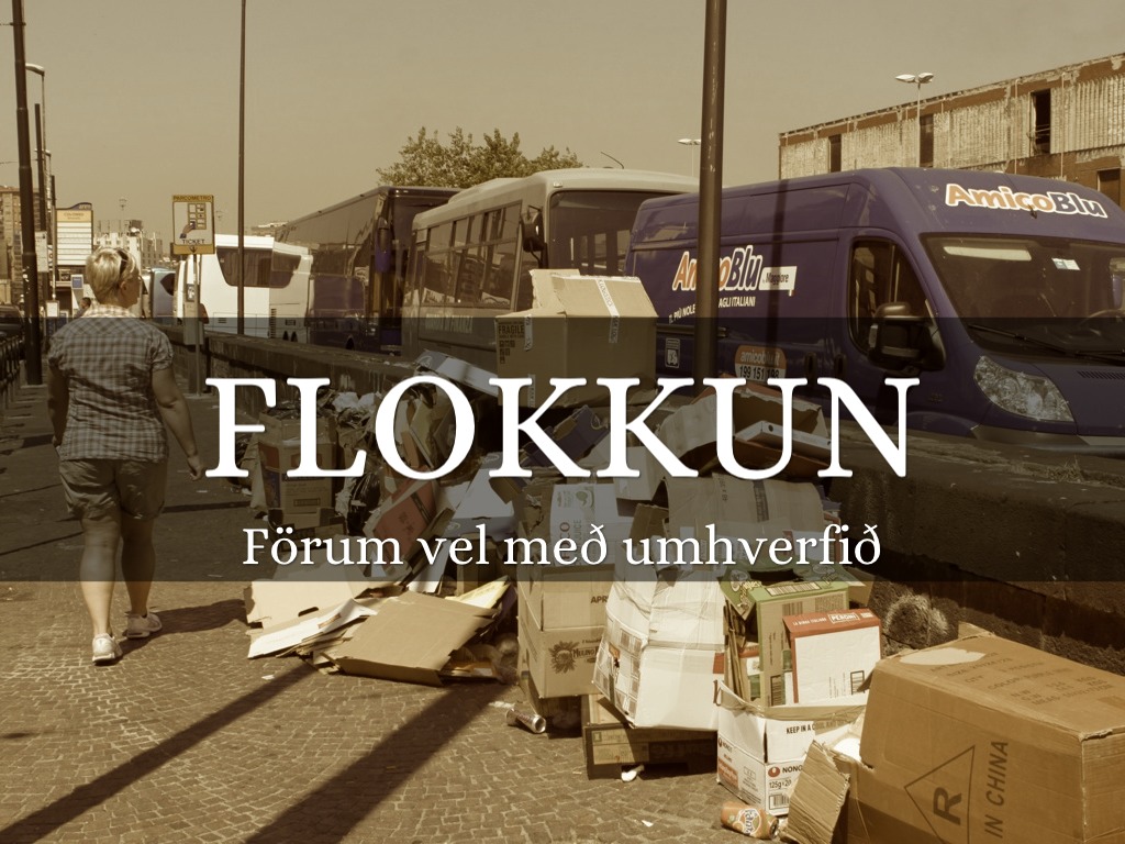Flokkun by Eygló Þorgeirsdóttir