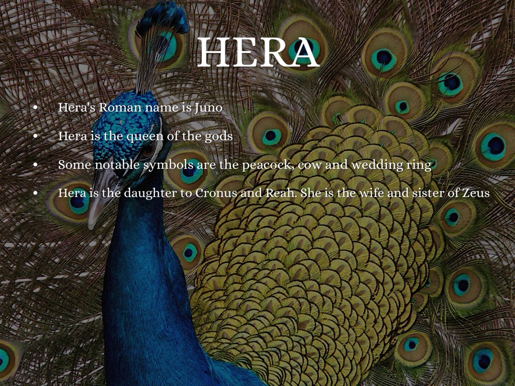 12 Olympic gods by ianmccombs21