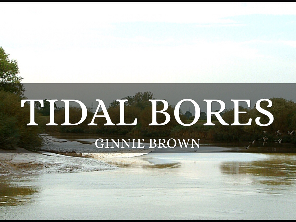 Tidal Bores by Ginnie Brown