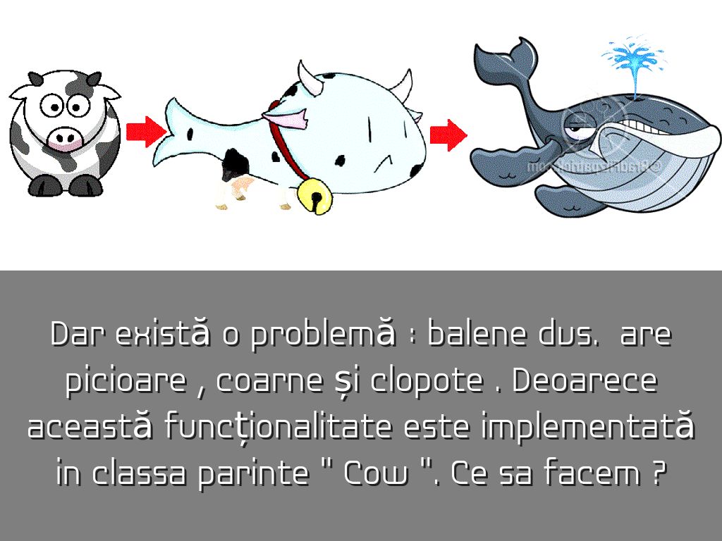 Principiile POO by Andrei Rotari