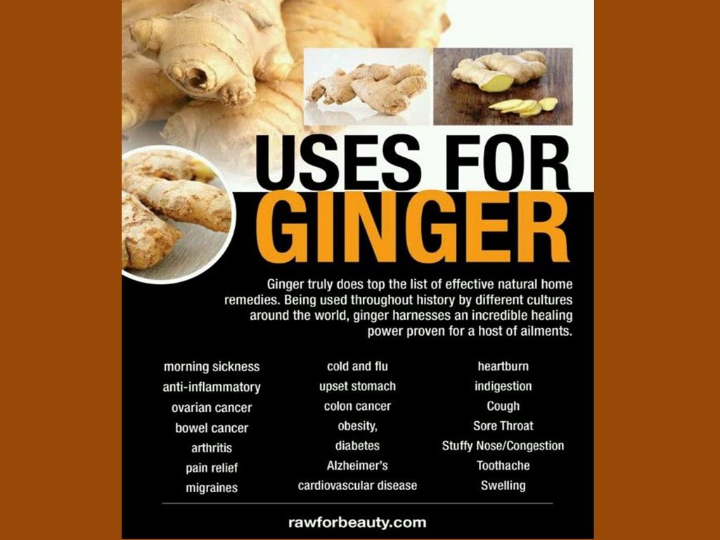 All Things Ginger by Joe Lewis