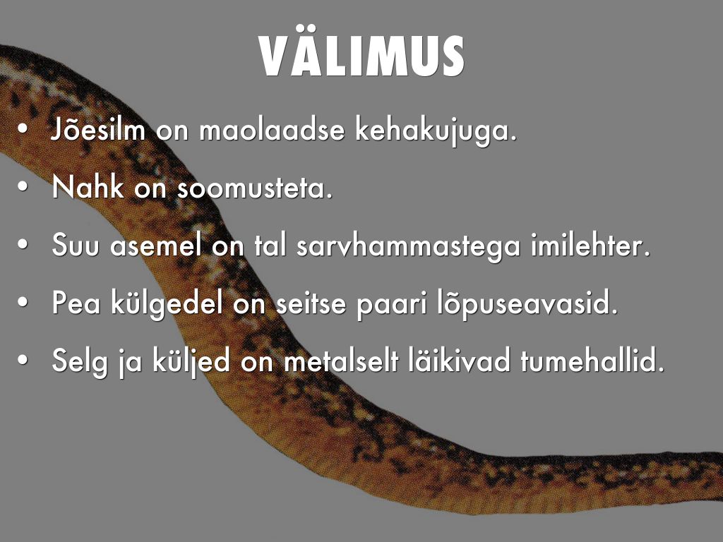 välimus by triini01