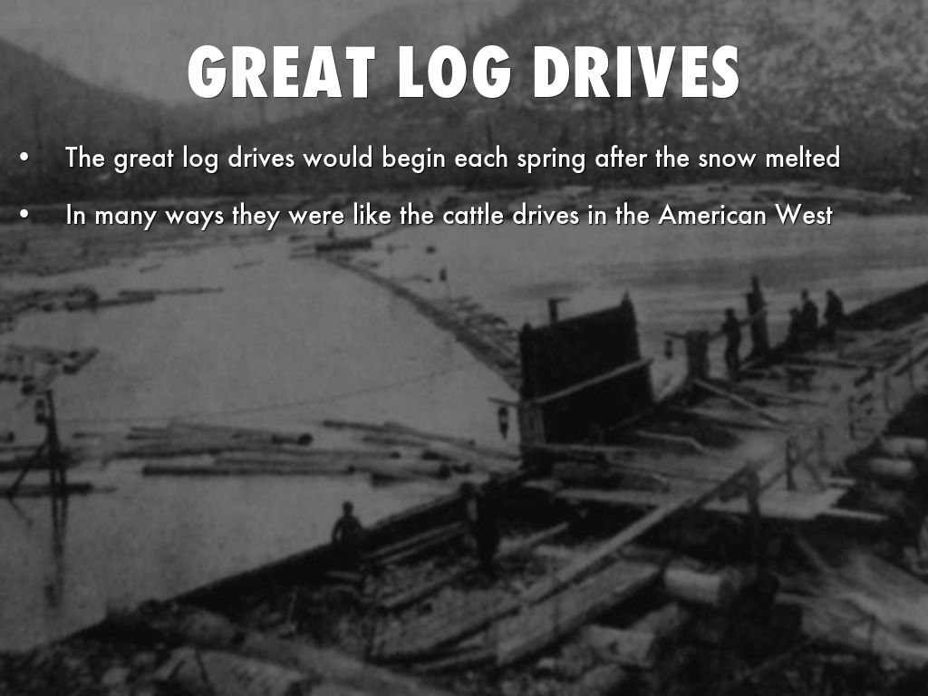 Matt Bean by mbean26