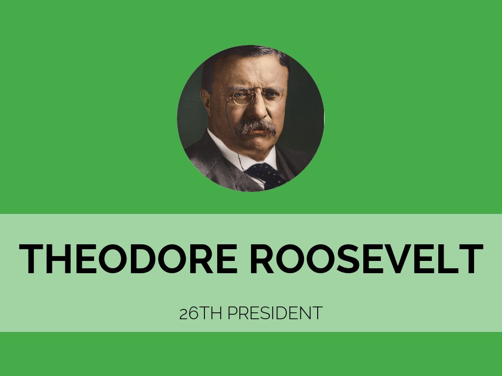 Teddy Roosevelt by Heidi Gilmore