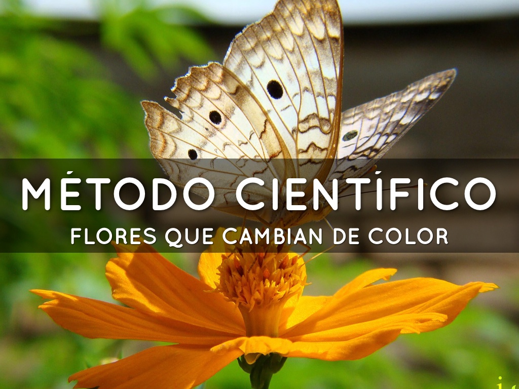 Método Científico by Diana Cruz