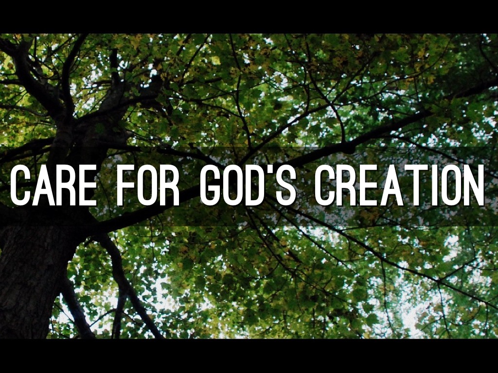 Care For Gods Creation