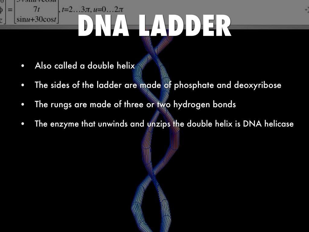 Biology Ch. 12 by Nick