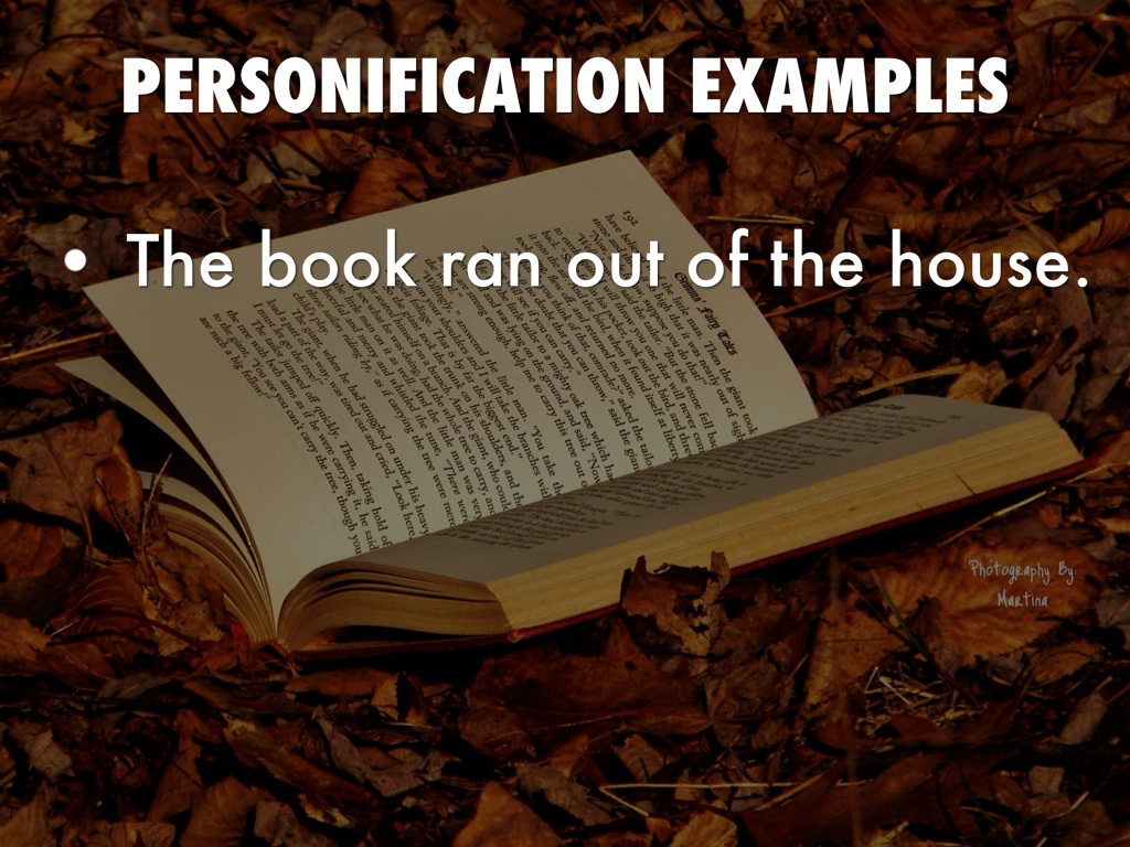 Literary Devices by Luke Protzman