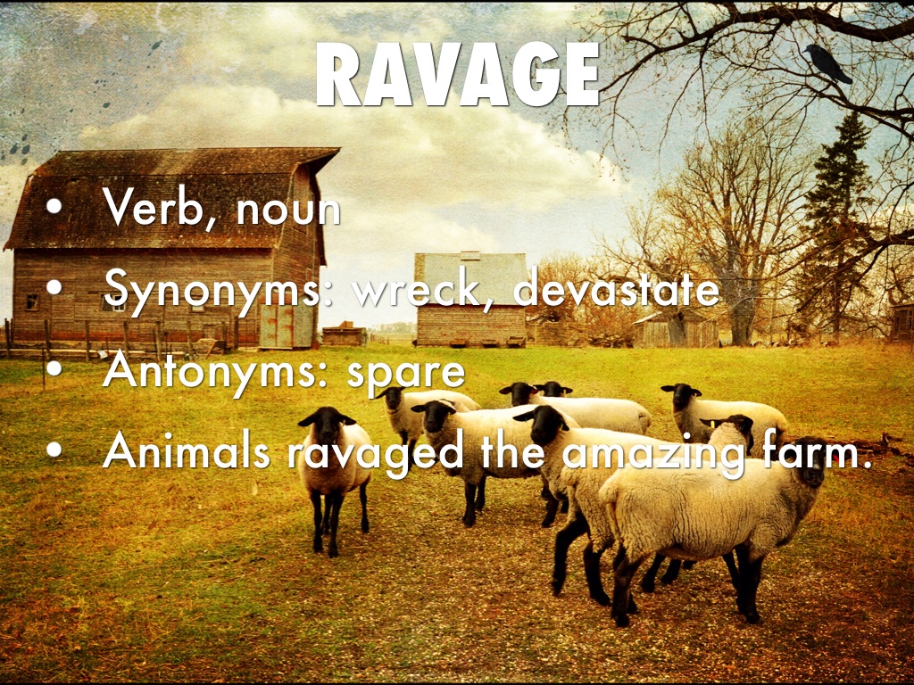 Unit 7 Vocab Words by shagley