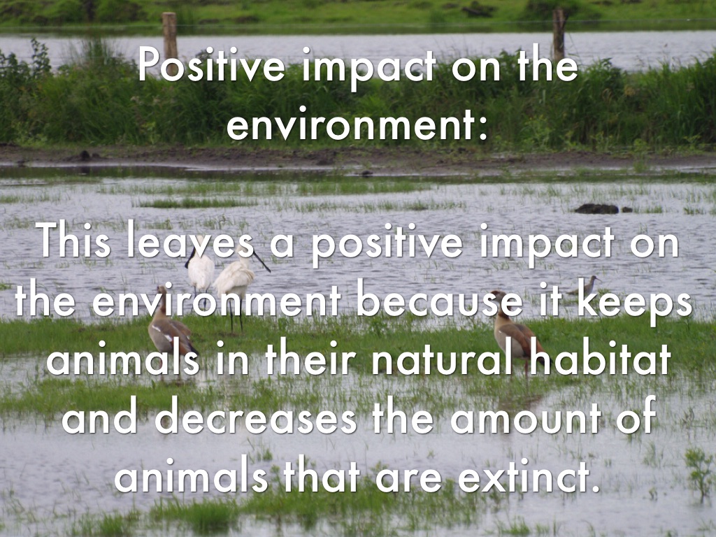 Science Invasive Species by Kaylee Jenkins