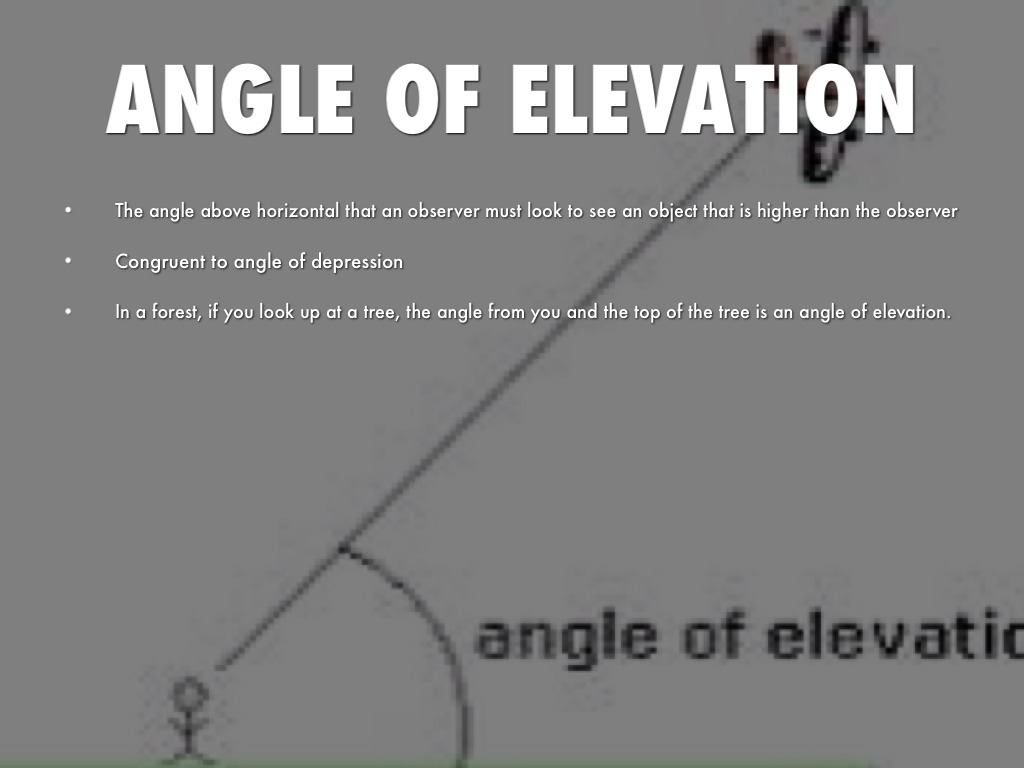 Vocab Assignment by Alex Alcamo