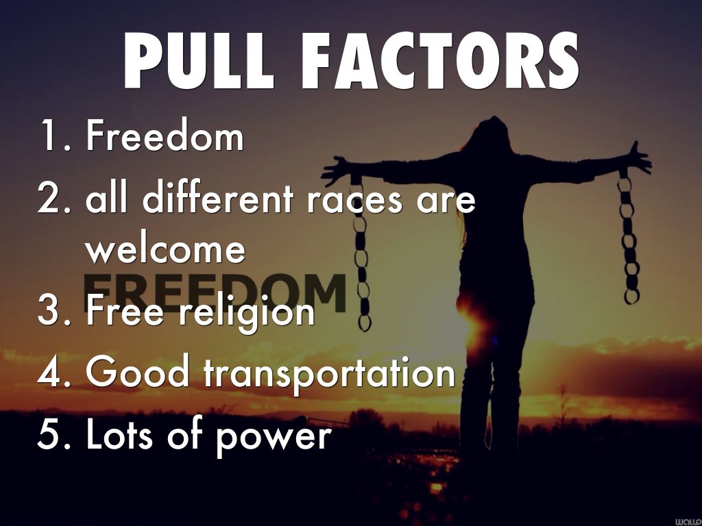 Gill M by Kaylie Kirchenwitz