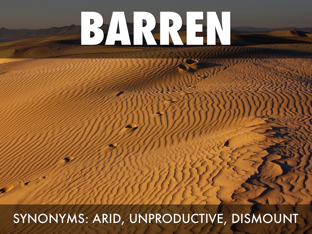 Vocab Words Project by elbalail0967