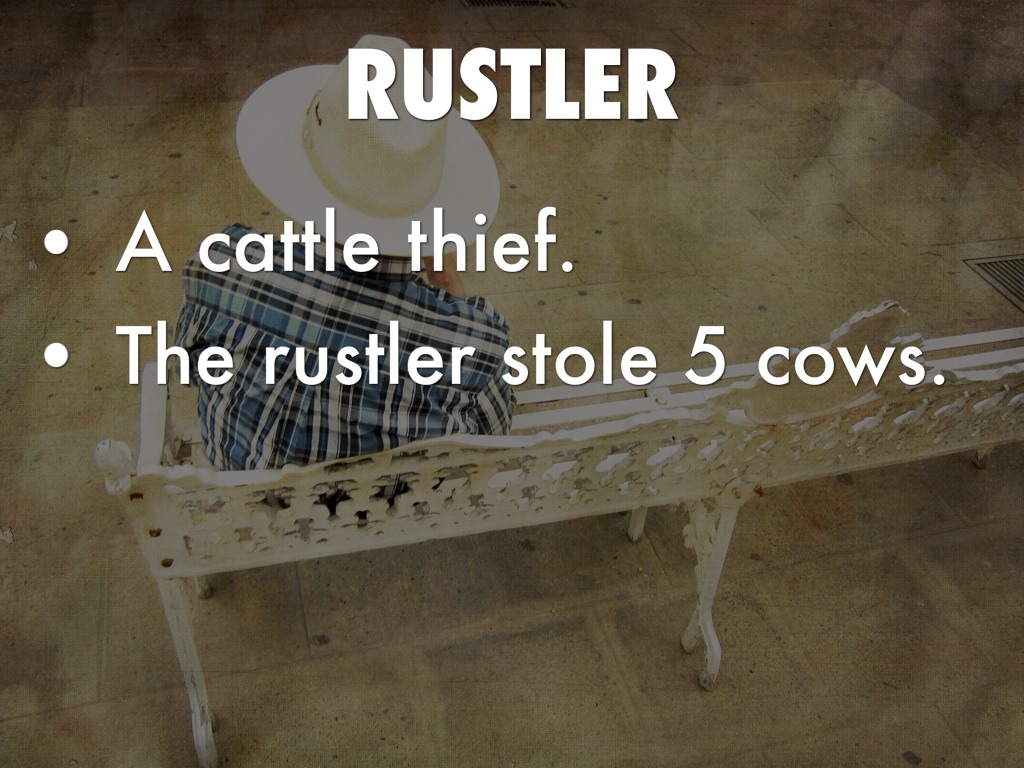 Cattle Industry by Sasha Butkovich