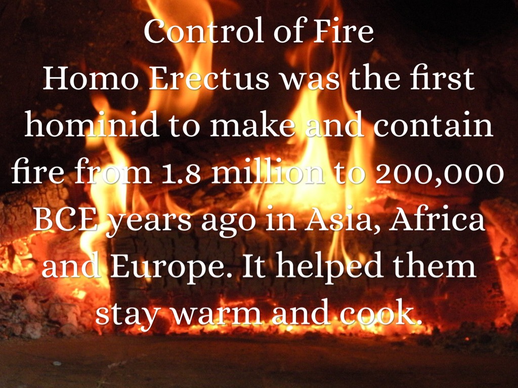 Social Studies Project by crosswellal21