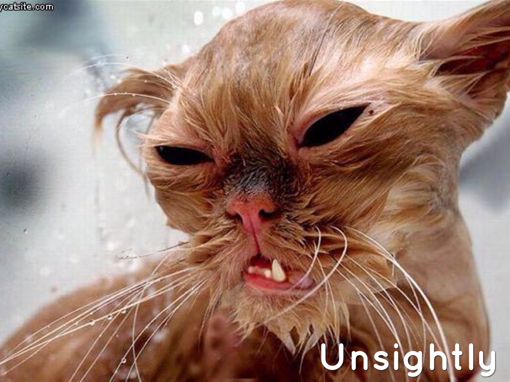 Interesting Adjectives by Alicia Yodlowsky