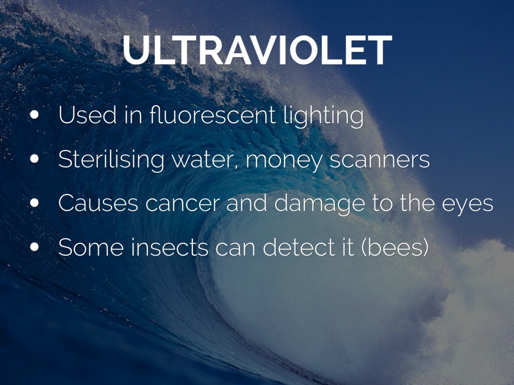 Waves-Summary by Joey Williams