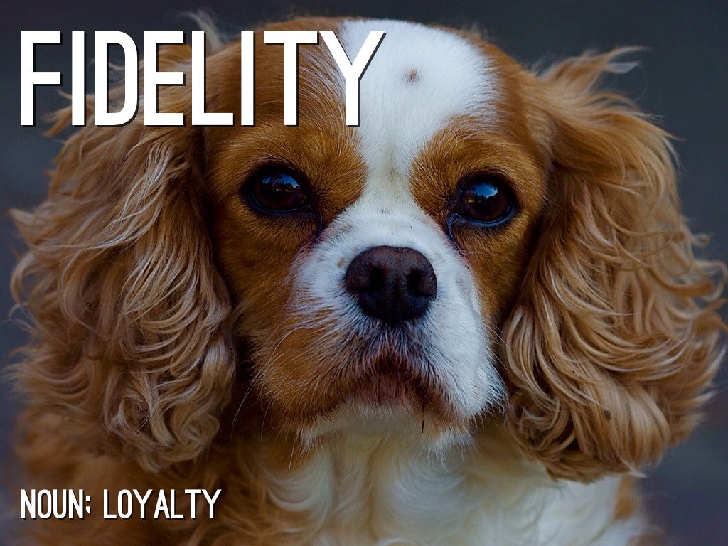 Vocab 3 by Kenzie Granger