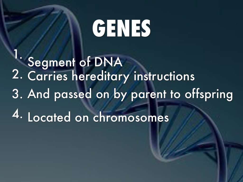 Genetic Flash Cards by Rashaunea Ambers