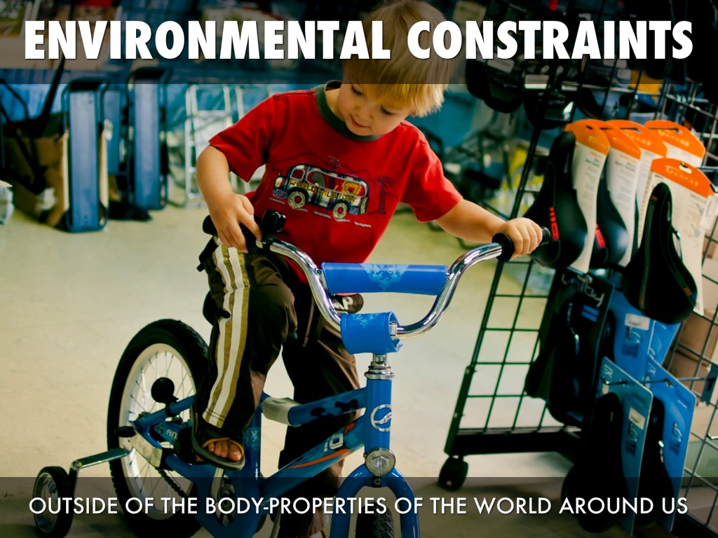 Motor Development-Chapter One by Kristen Mullady