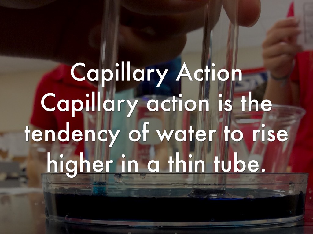 Properties Of Water Lab by Corey Guice