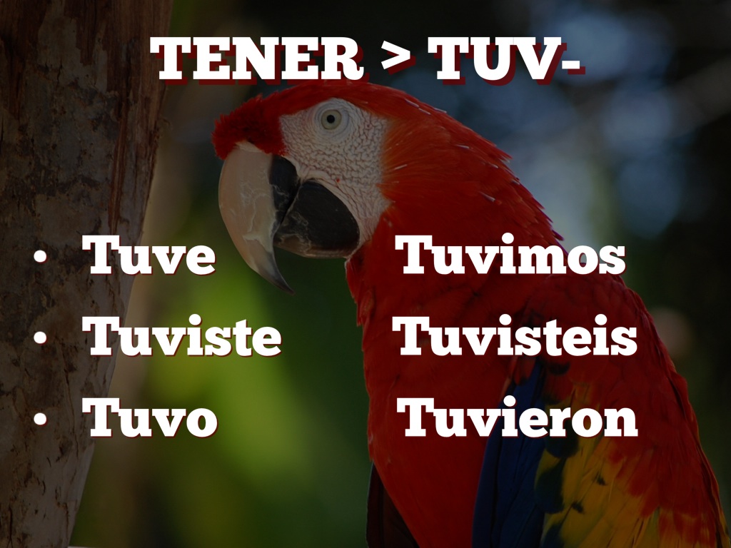 Spanish Lesson by Kirk Ring