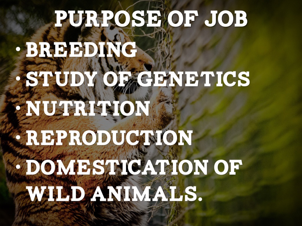 Animal Science by Nathan Schell