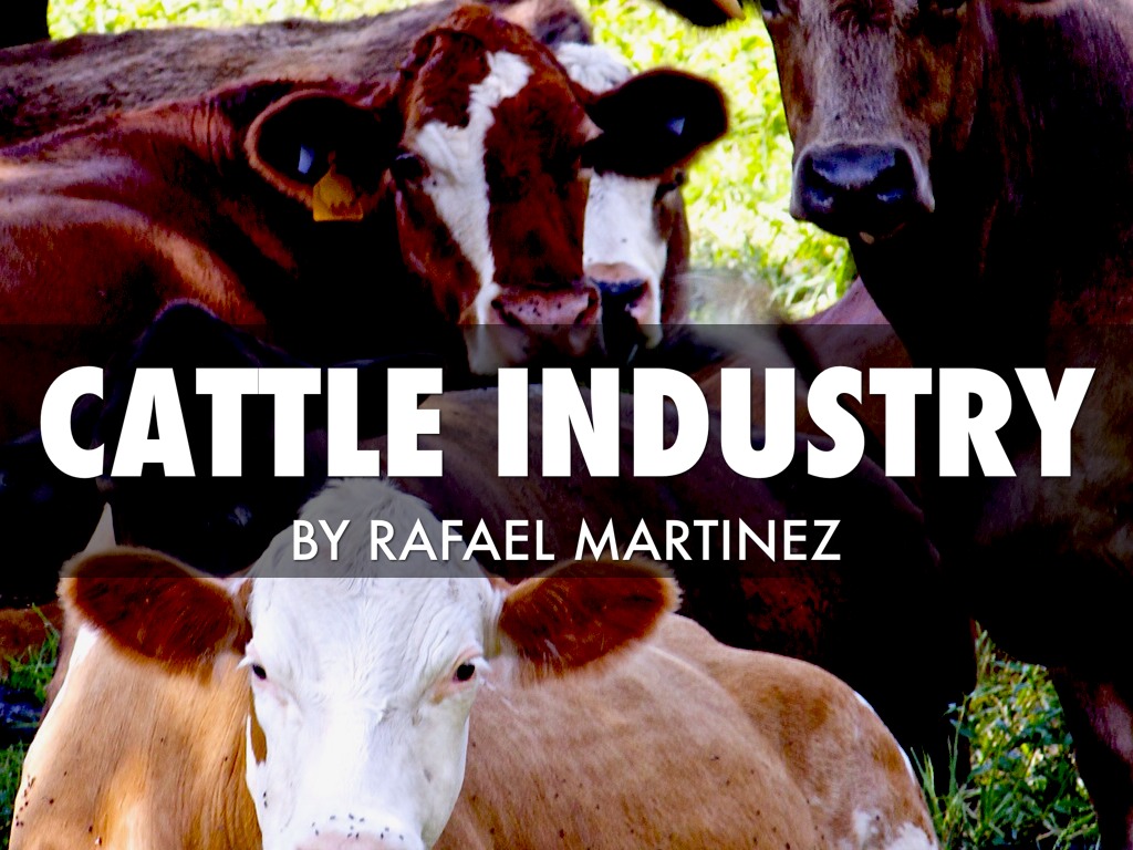 Cattle Industry by Rafael Martinez