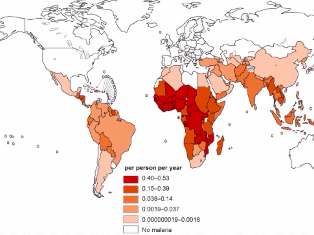 Africa Disease by Emily Anastos