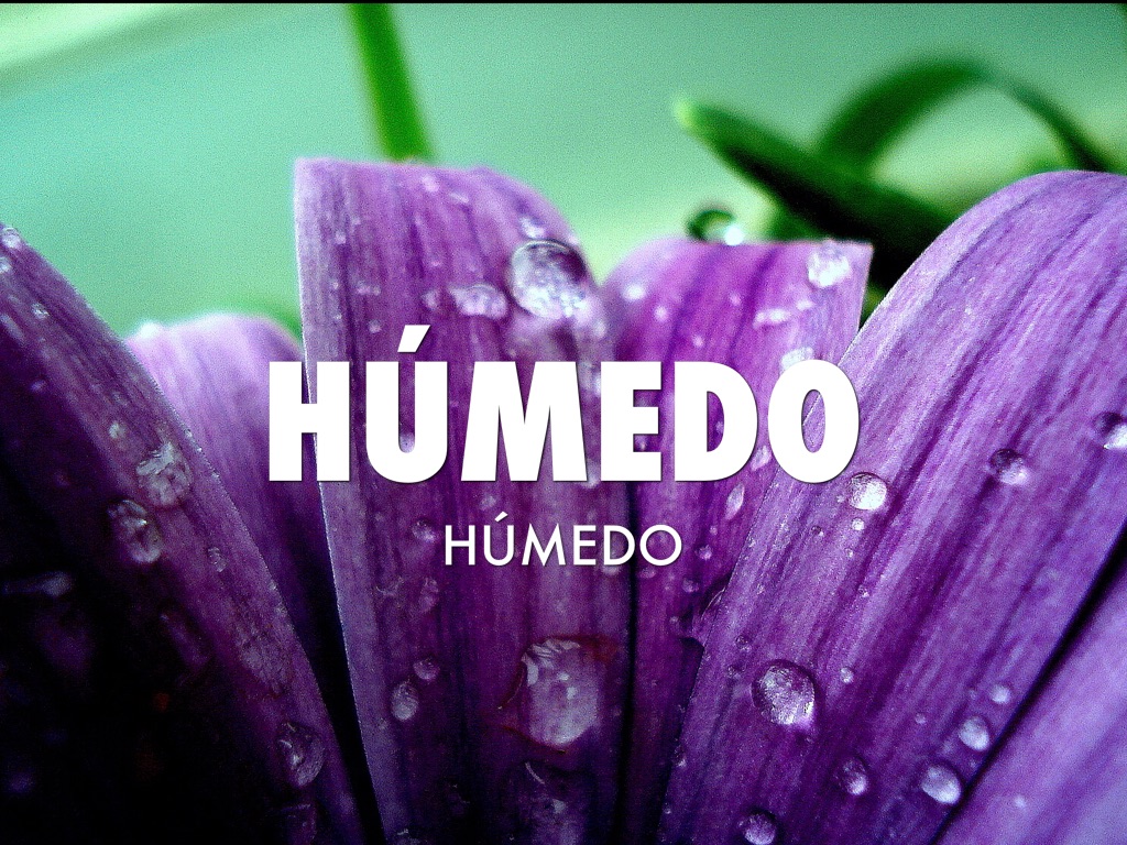 Palabras Con H by Rodrigo Baldero Silvestre