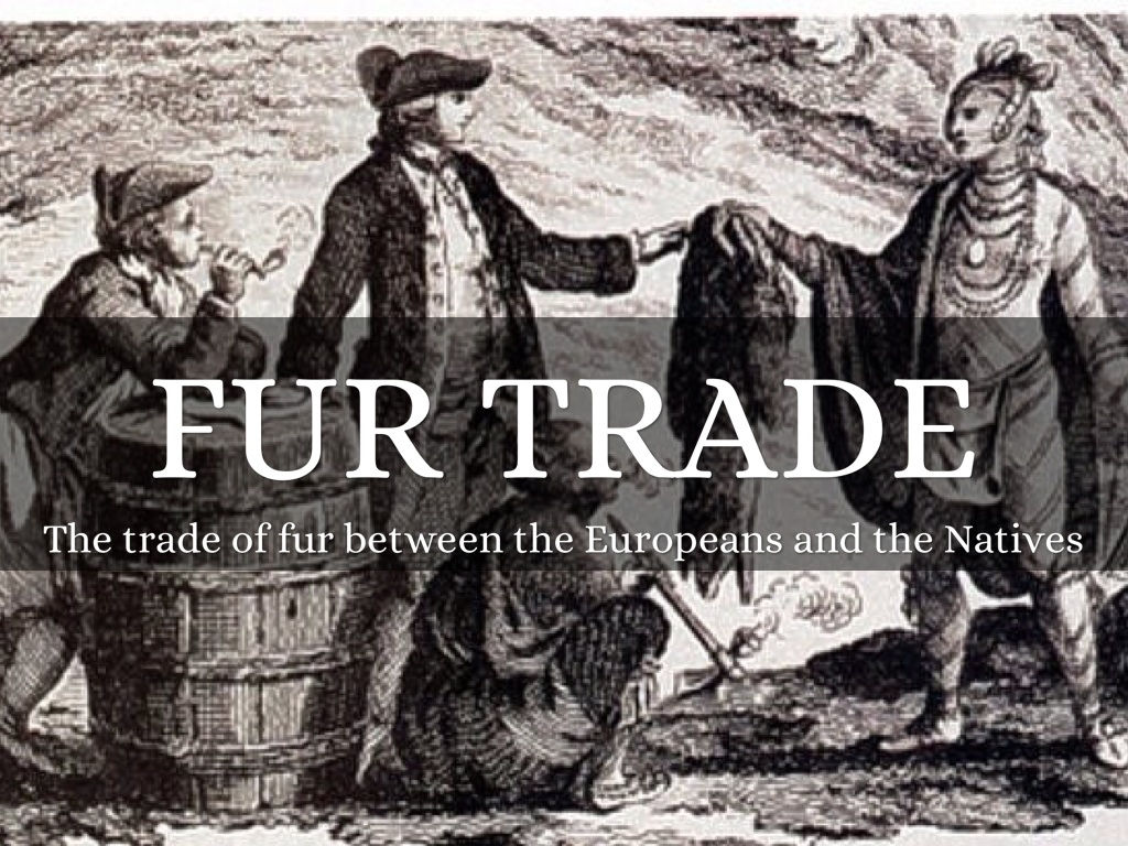 Standard 1 by Tia Barber