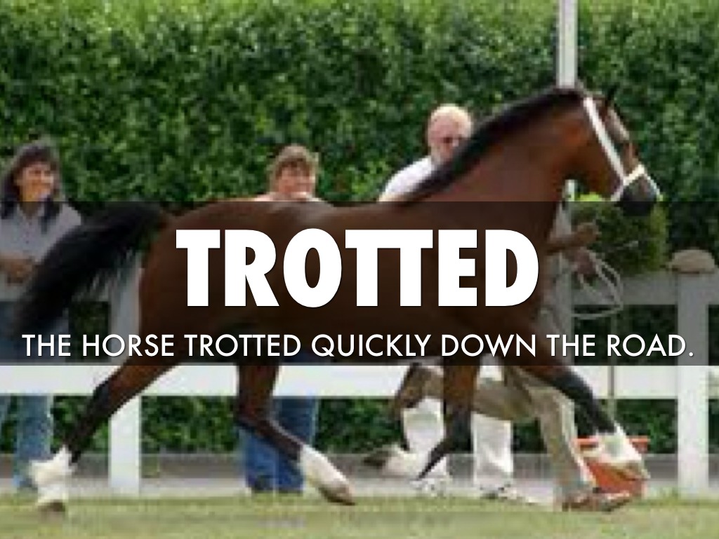 English by Jesssica Preister