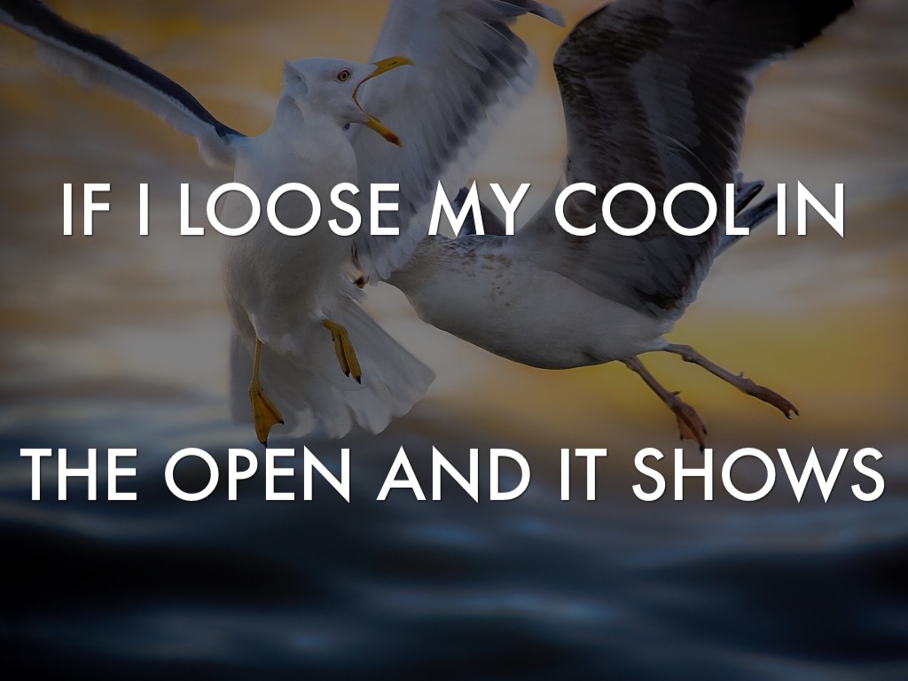 Riccio Alexa 4 Tailgate Blues by John Kleywegt