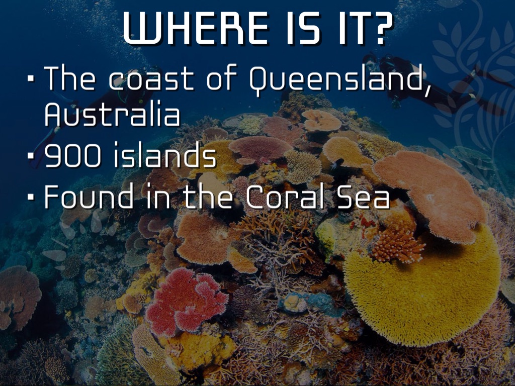 The Great Barrier Reef by Kyla Schroeter