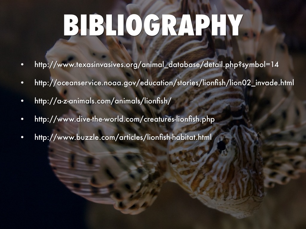 WANTED: Lionfish by Omar Alkhatib