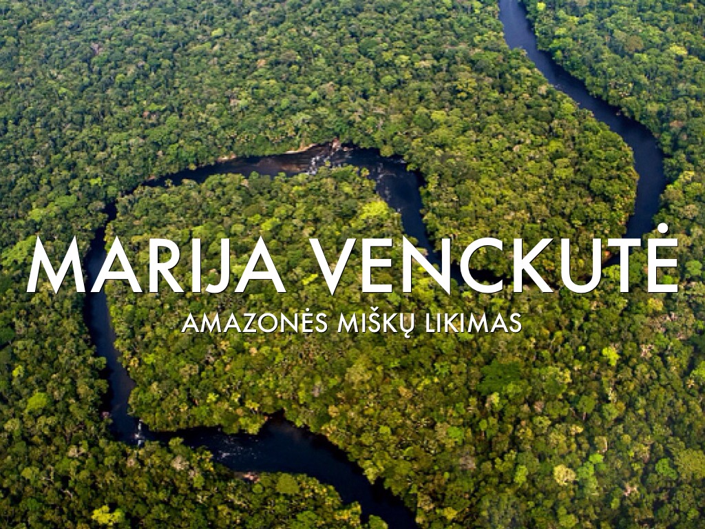 Amazonės miškų likimas