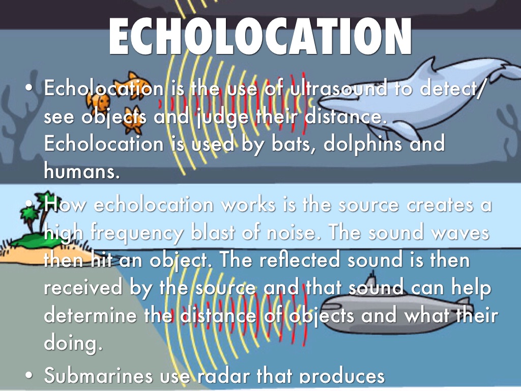 Sound by Blake Imhoff