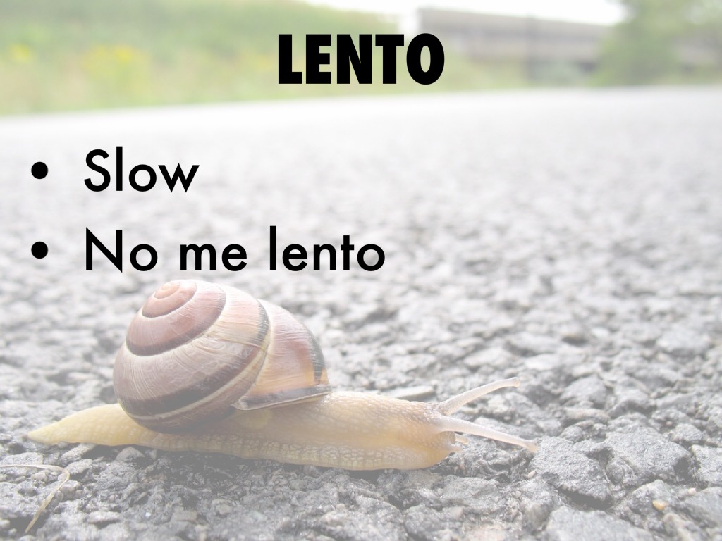 Spanish Vocab Words by Klayton Pekarek