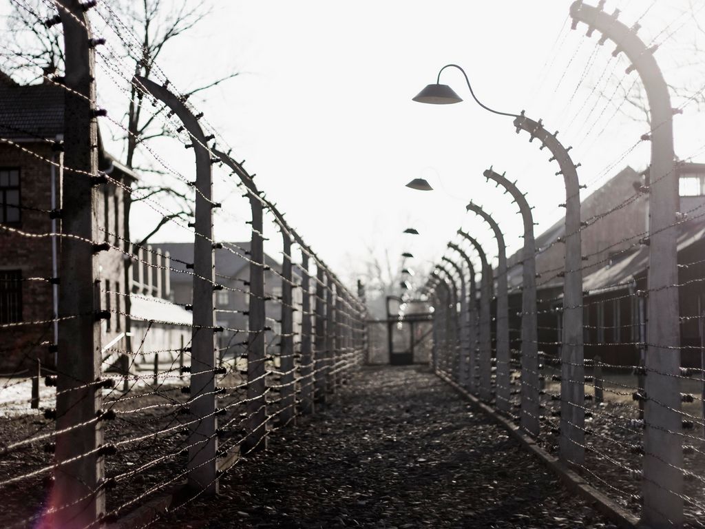 GENOCIDE PROJECT by pinedkev000