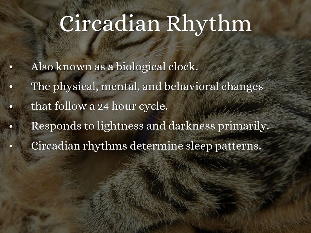 Sleep by natalie.stiewe