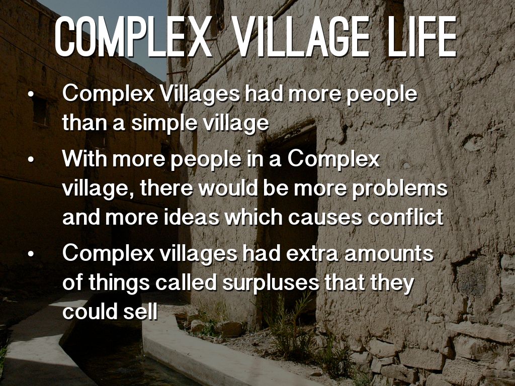 Social Studies by Ryan Bim