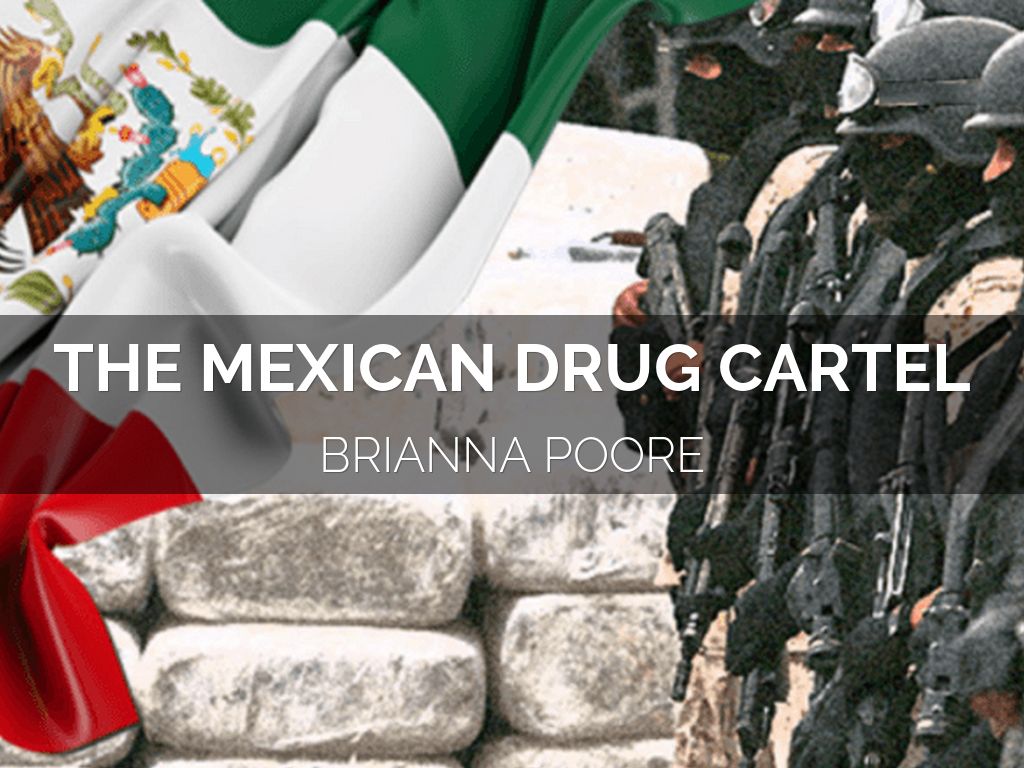Latin America Drug Cartel by Bri Poore