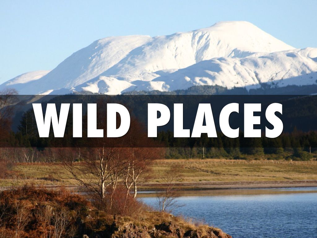 Unit 8 - Wild Places & Animals by Maria José Manzanares